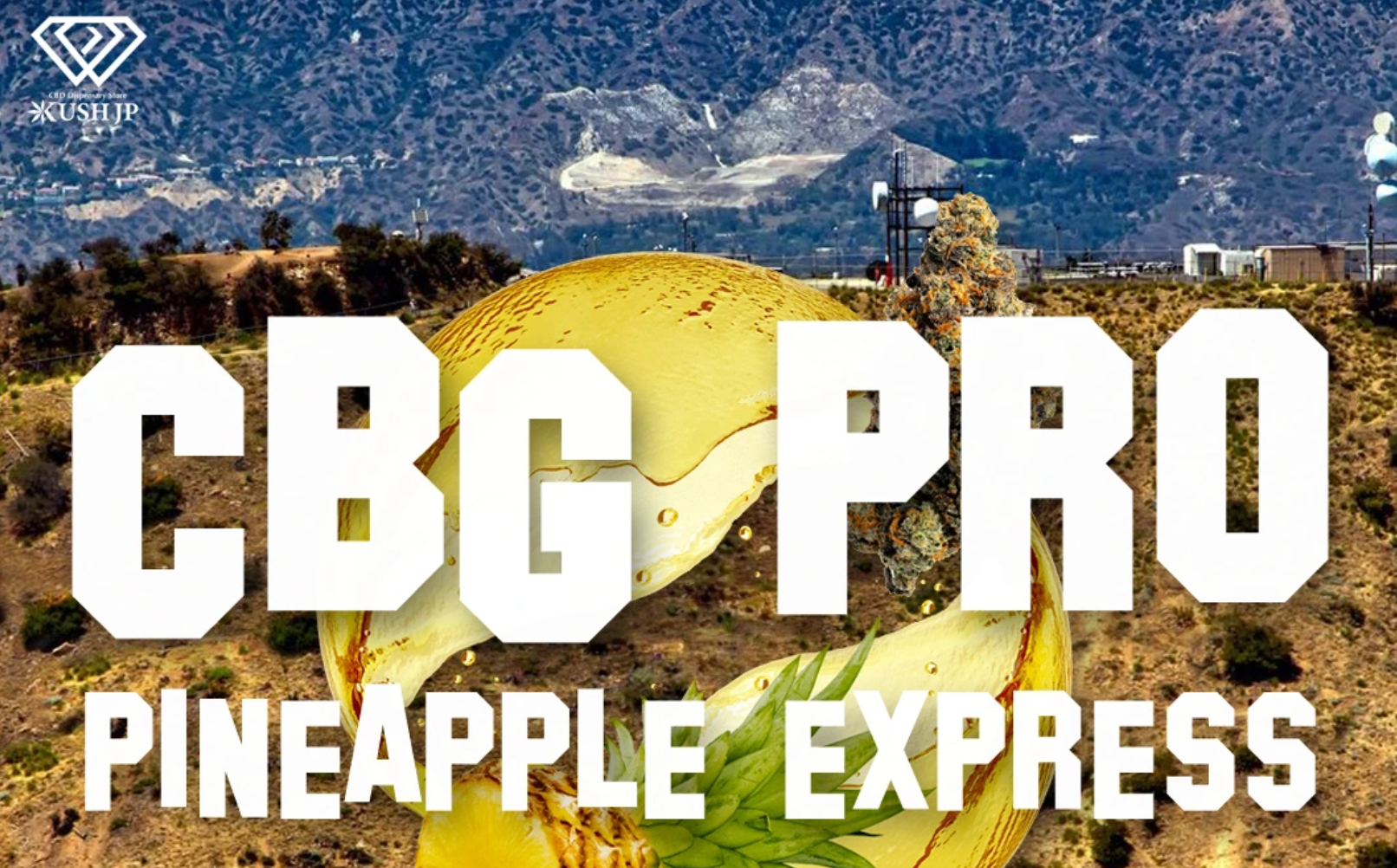 【Kush jp口コミ】CBG Pineapple Expressの口コミ&正直レビュー。｜VoooM | VAPEの最新情報をお届け！